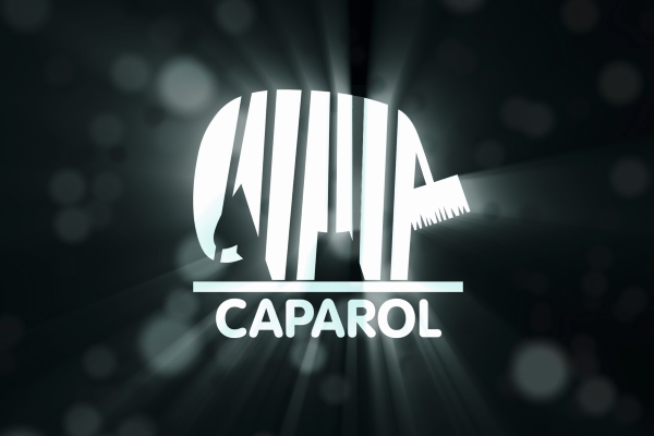 Caparol Eesti - Professionaalide ehitusvärvid